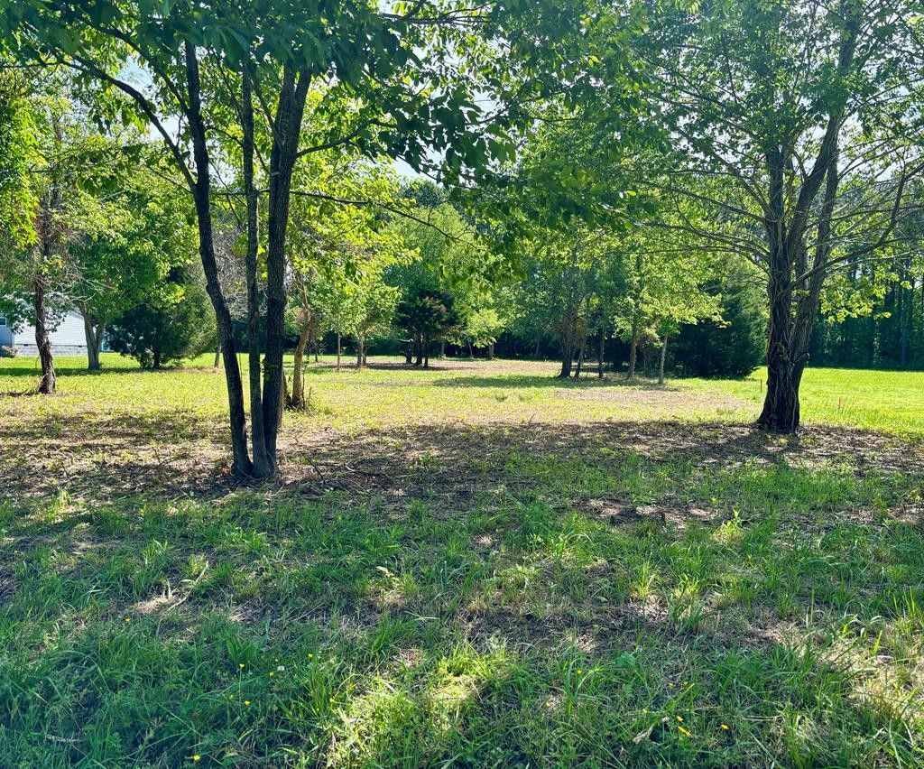 0000 PINE MEADOWS WAY, Exmore, VA 23350 | MLS: 60522 | Land and Farm