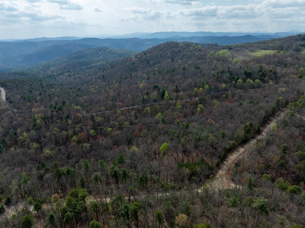 13 Chestnut Farms Parkway, Mcgrady, NC 28649 | Land and Farm