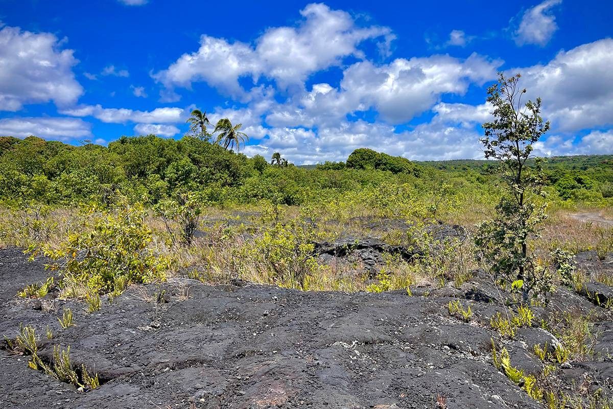 6.33 Acres, 12-4786 KAIMU CHAIN OF CRATERS RD, Pahoa, HI 96778 | Land ...