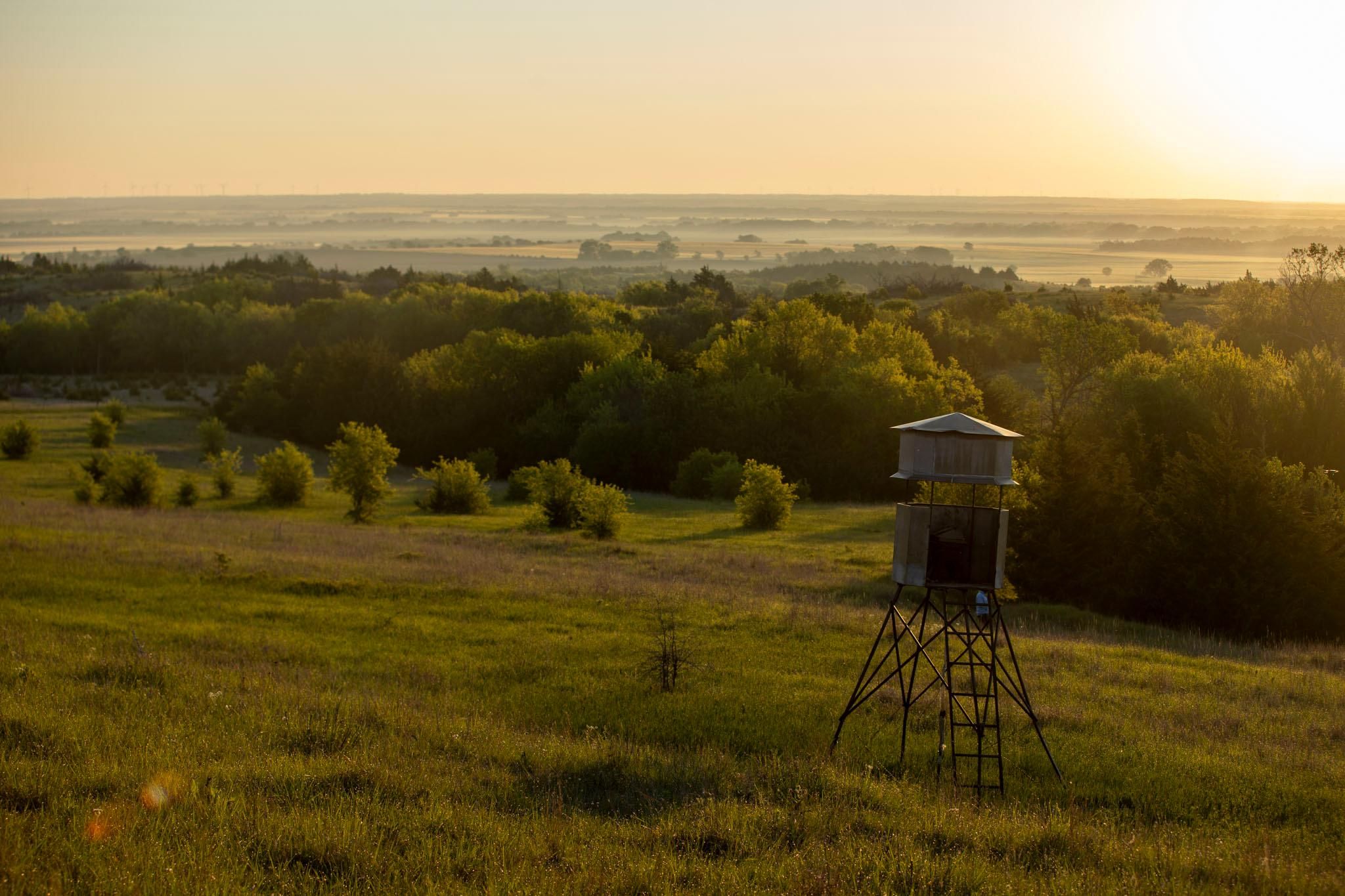 4,000 acres in Delphos, KS, 67436 | Land and Farm