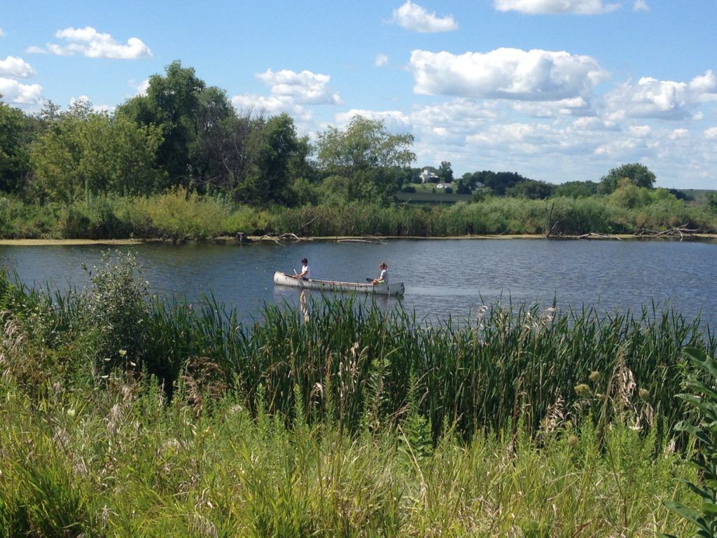 17425 US 52, Newark, IL 60541 | Land and Farm