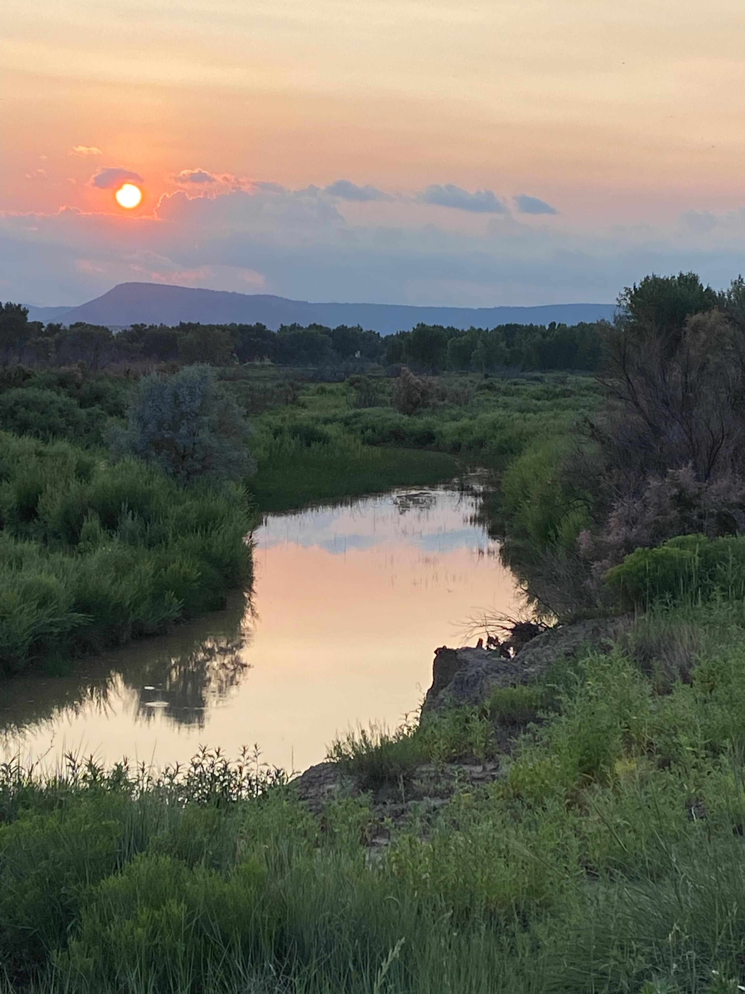 292 acres in Maxwell, NM, 87728 | Land and Farm