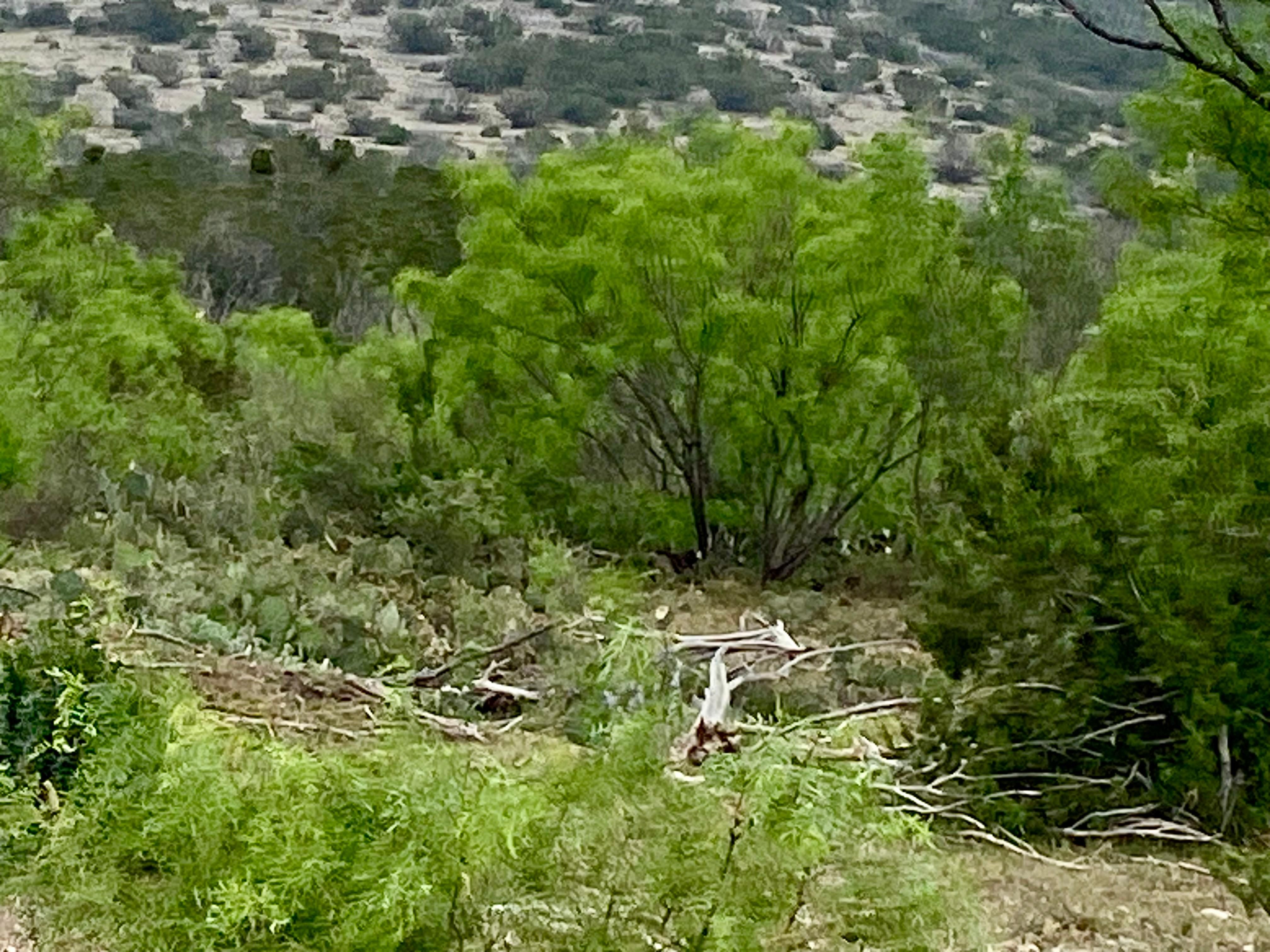 327.44 acres in Juno, TX, 76943 | Land and Farm