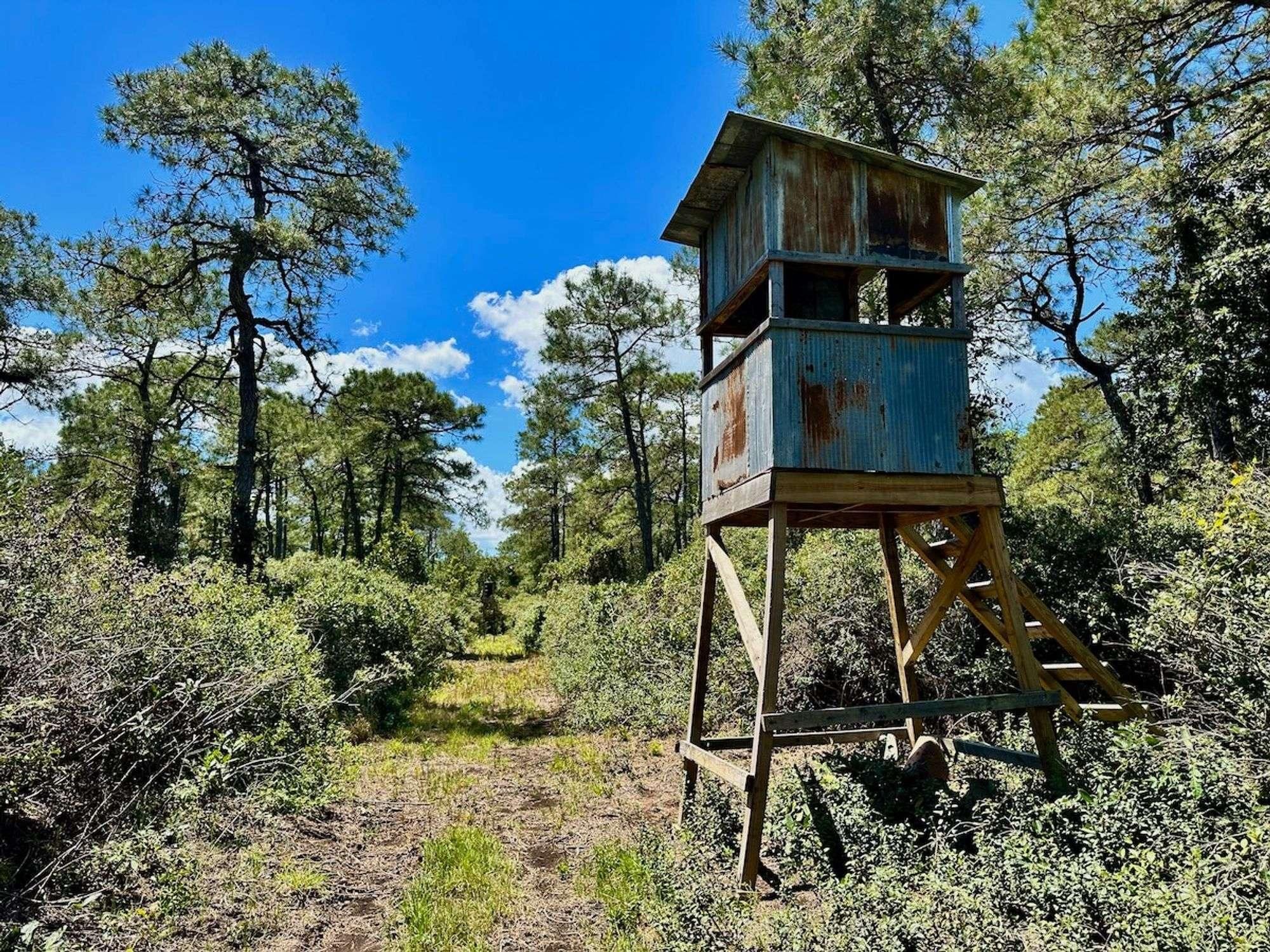 Off Dunbar Canal Rd, Currituck, NC 27810 | MLS: 60 acre Hunting Land ...