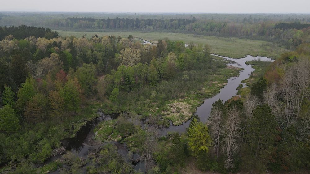 VL Manistee, Kaleva, MI 49645 | Land and Farm