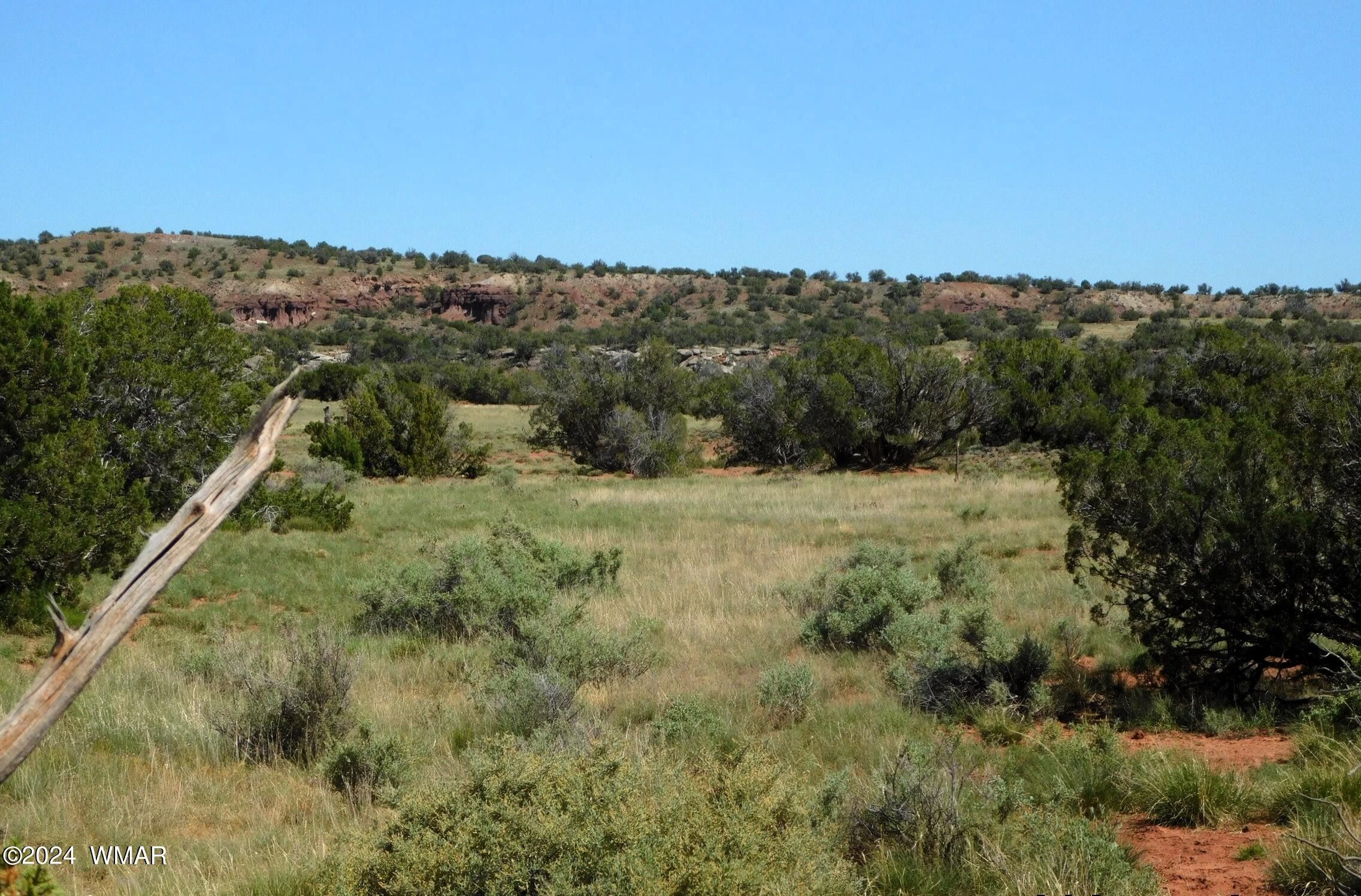 Tbd County Road 8439, Concho Valley, AZ 85924 | MLS: 251257 | Land and Farm