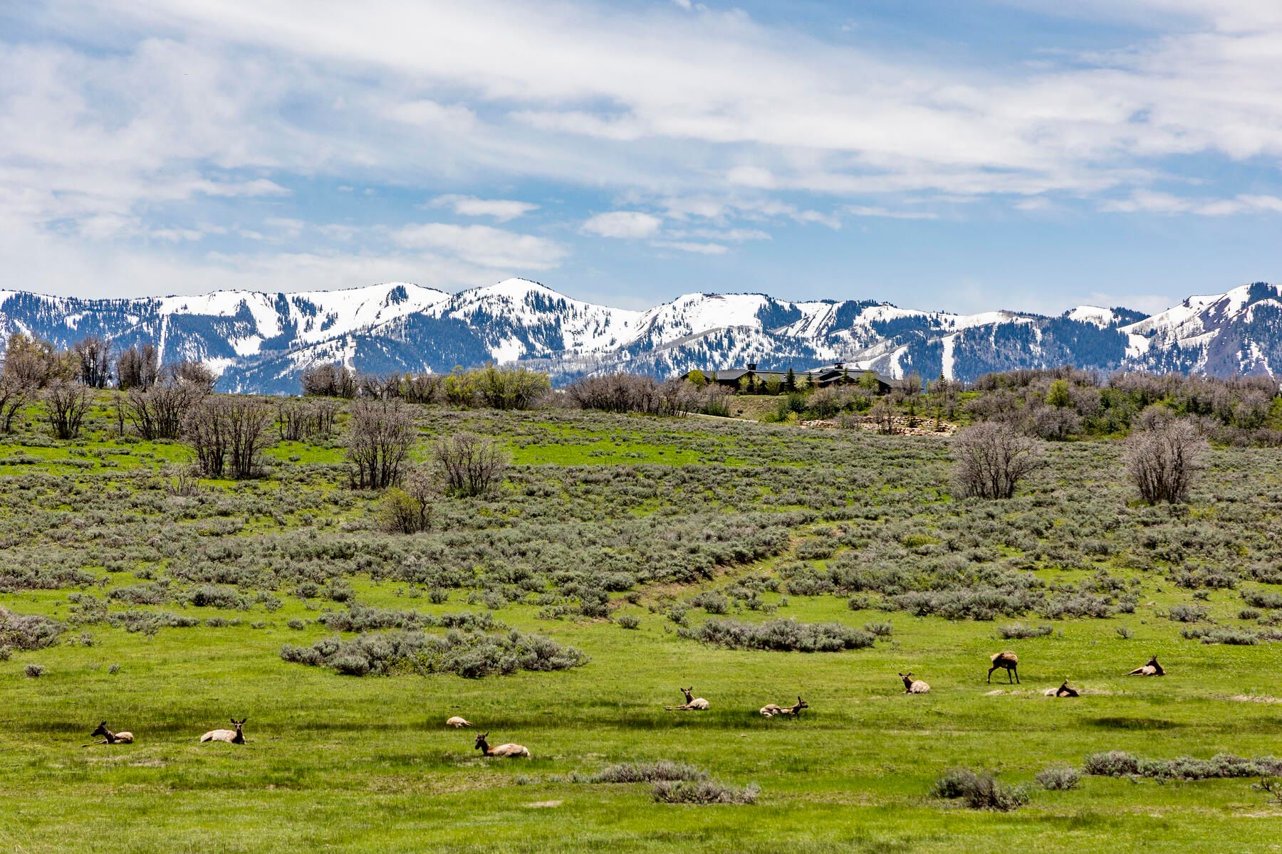 10.26 Acres, 8969 N Elk Crest, Park City, UT 84098 | Land and Farm