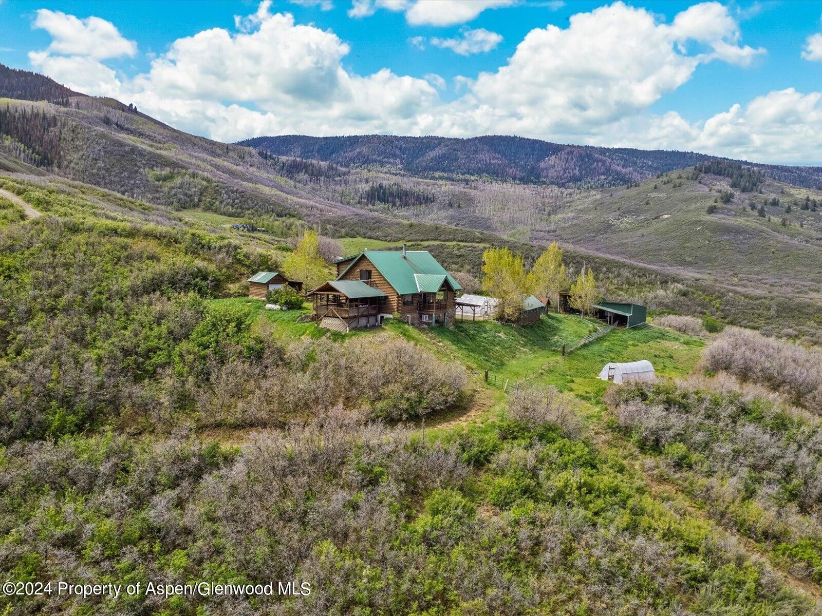 10822 60 3/4 Road, Collbran, CO 81624 | MLS: 183844 | Land and Farm