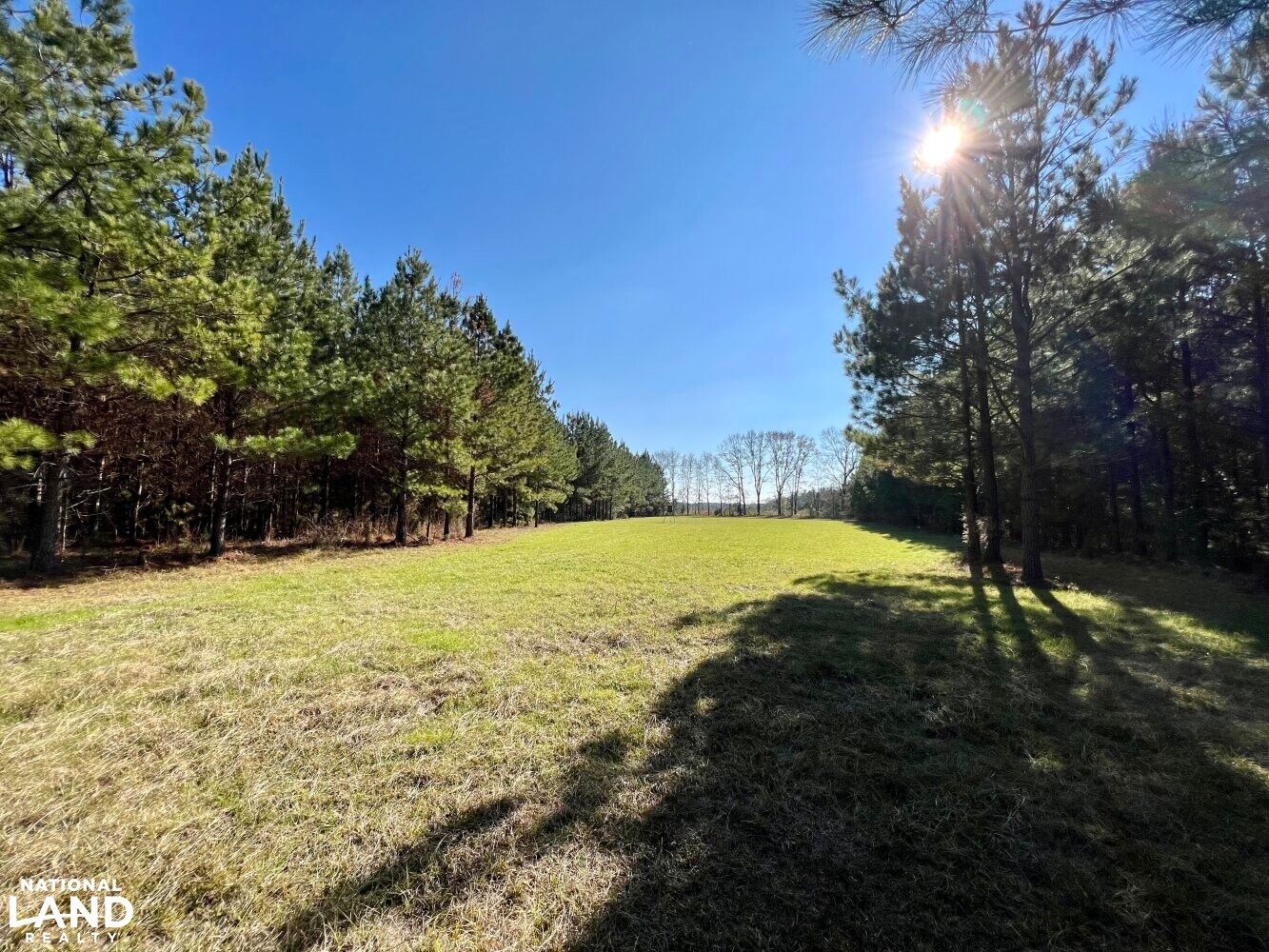 0 County Road 80, Tyler, AL 36785 | Land and Farm