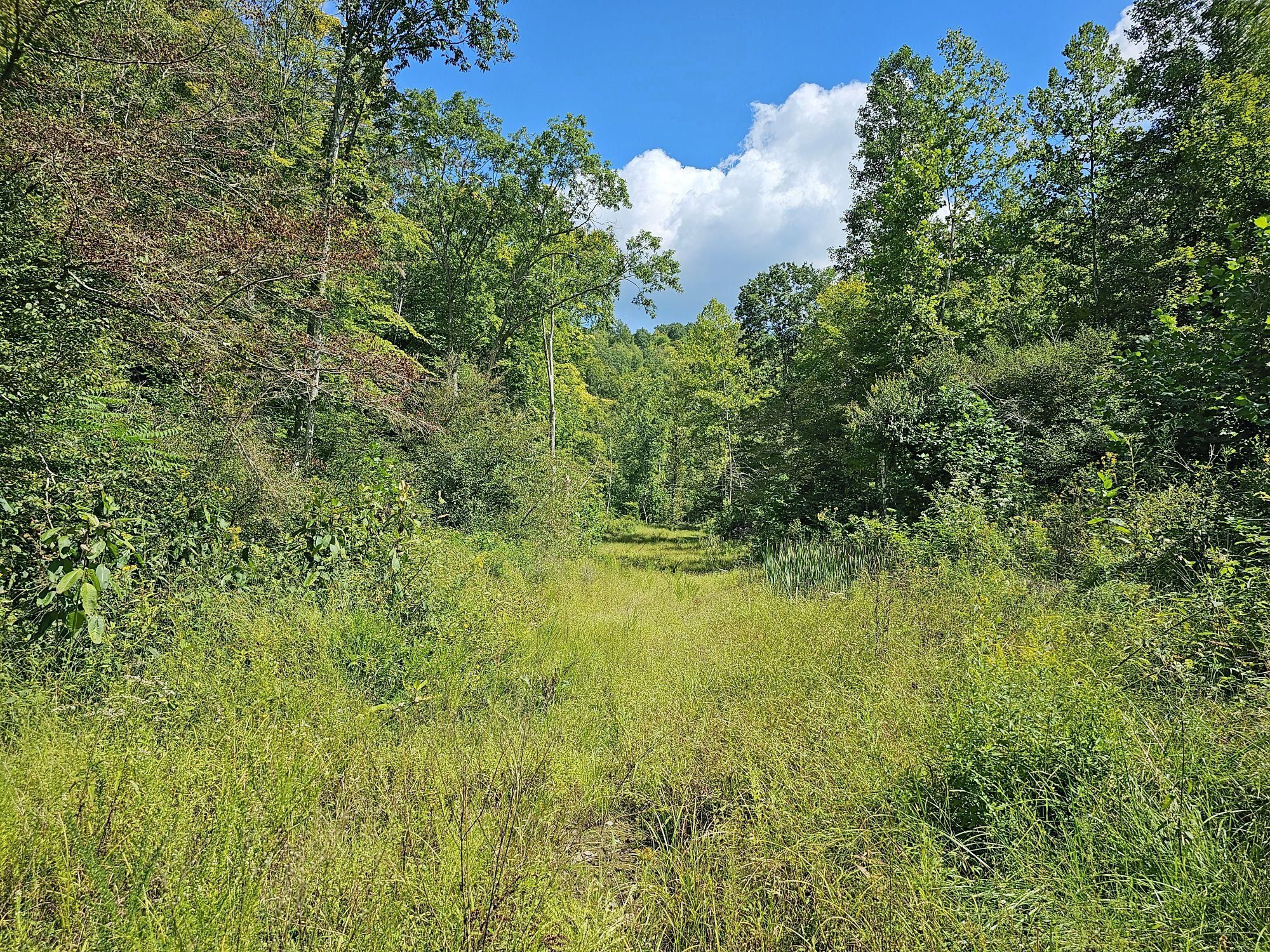 2757 Franks Run Rd, Center Point, WV 26339 | Land and Farm