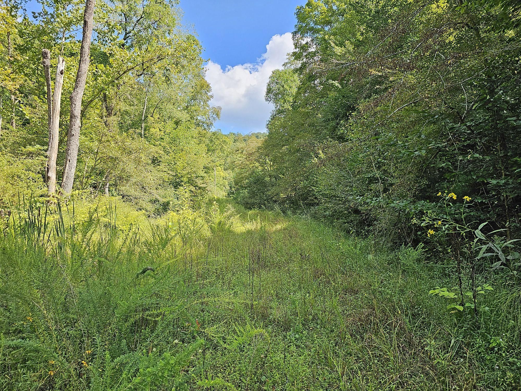 2757 Franks Run, Center Point, WV 26339 | Land and Farm