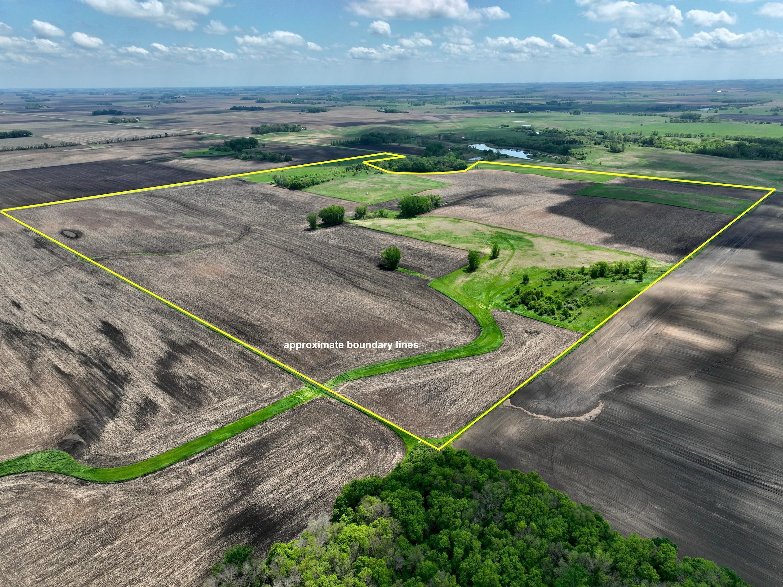 County Road 23, Springfield, MN 56087 | Land and Farm