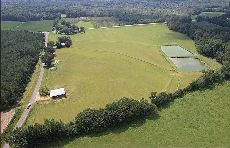 36 acres in Detroit, AL, 35552 | Land and Farm