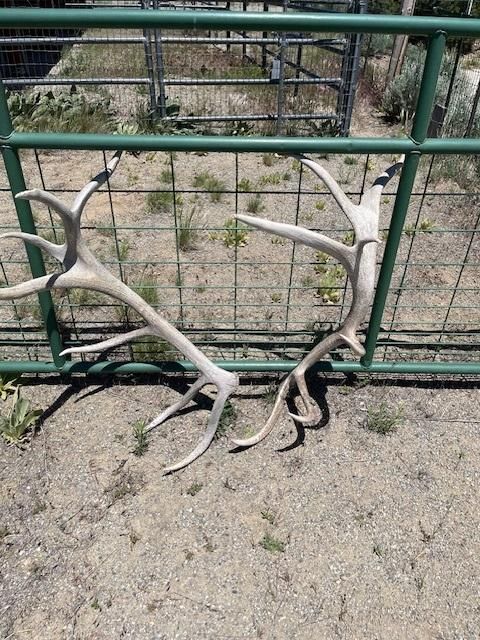 320 acres in Placerville, CO, 81430 | Land and Farm