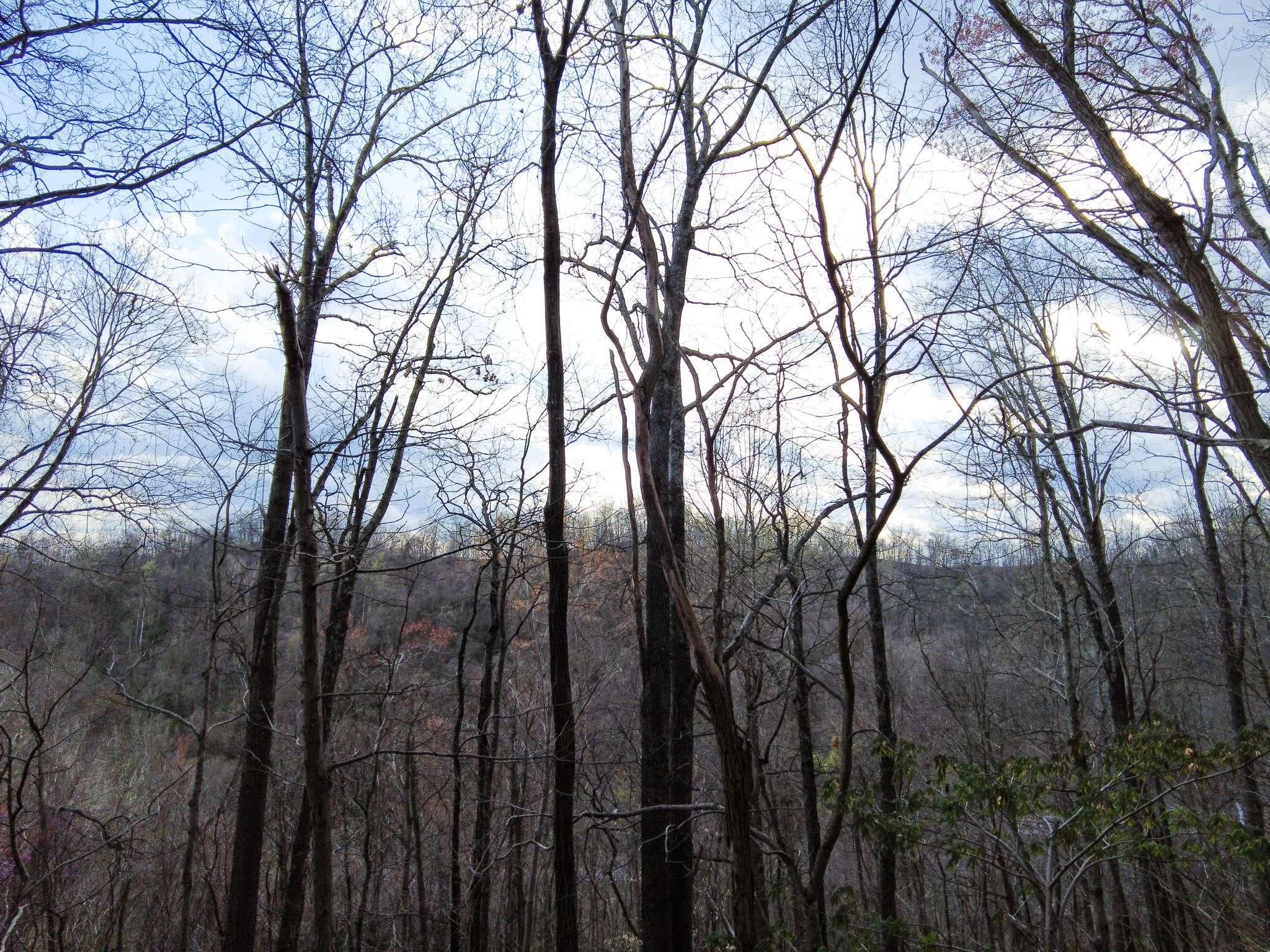 State Route 553, Crown City, OH 45623 | MLS: Gallia County Ohio Land ...