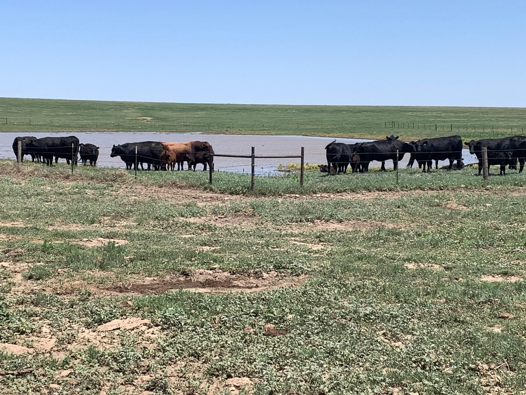 6,890 acres in Amistad, NM, 88410 | Land and Farm