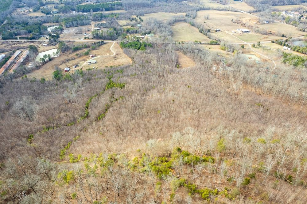 Alabama HWY, Rock Springs, GA 30739 | Land and Farm