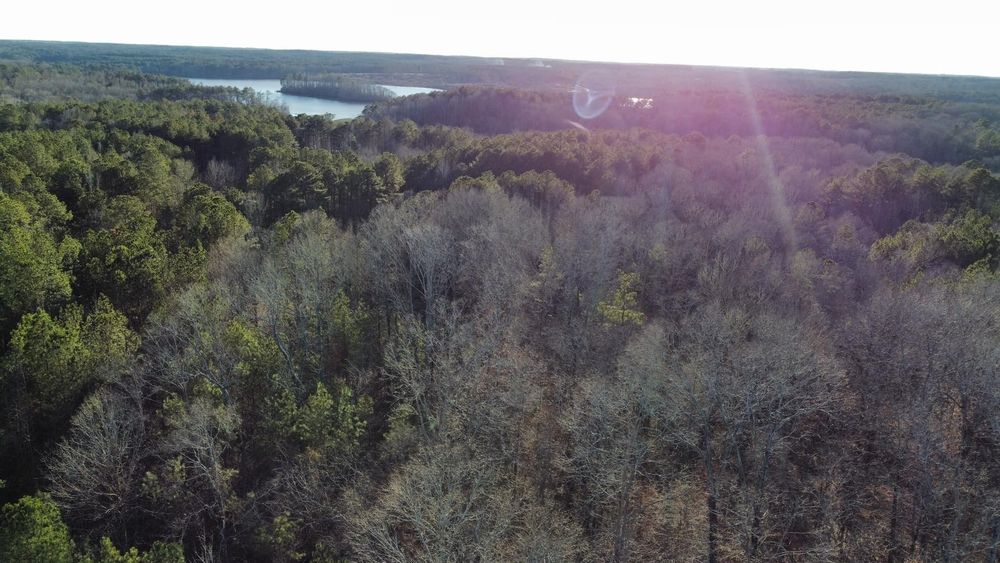 0 Deer Pointe Ct., Lagrange, GA 30240 | Land and Farm