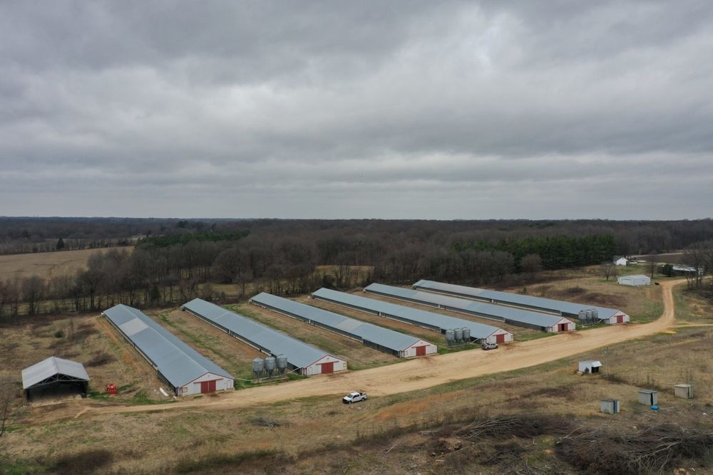 812 Bill Nanny Raod, Dukedom, TN 38226 | Land and Farm