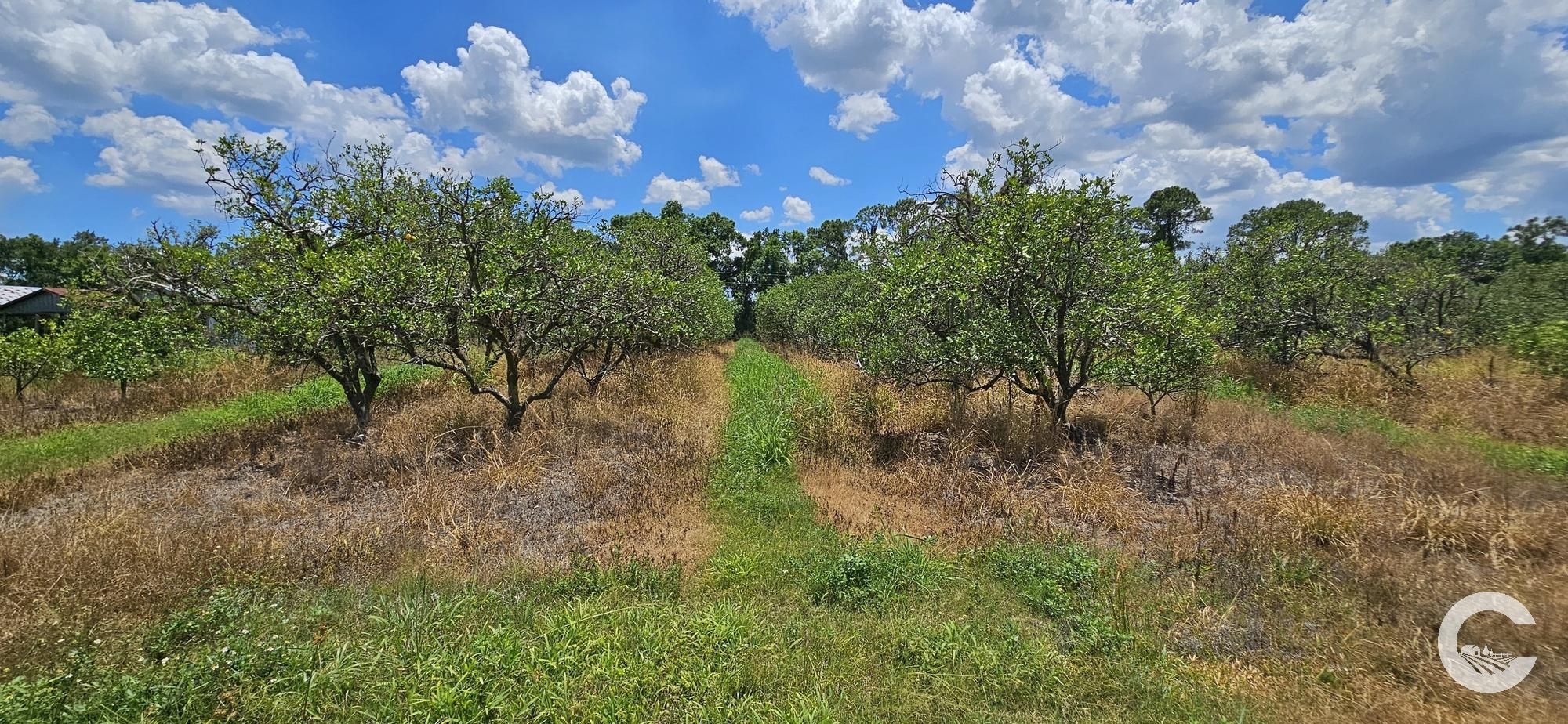 680 Shaw Rd, Wauchula, FL 33873 | Land and Farm