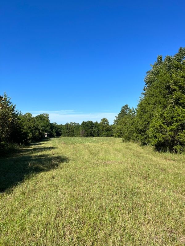 0 Smith Rd., Marion Junction, AL 36759 | Land and Farm
