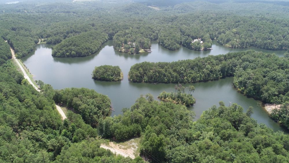 0 Sawtooth Branch Road, Clanton, AL 35046 | Land and Farm