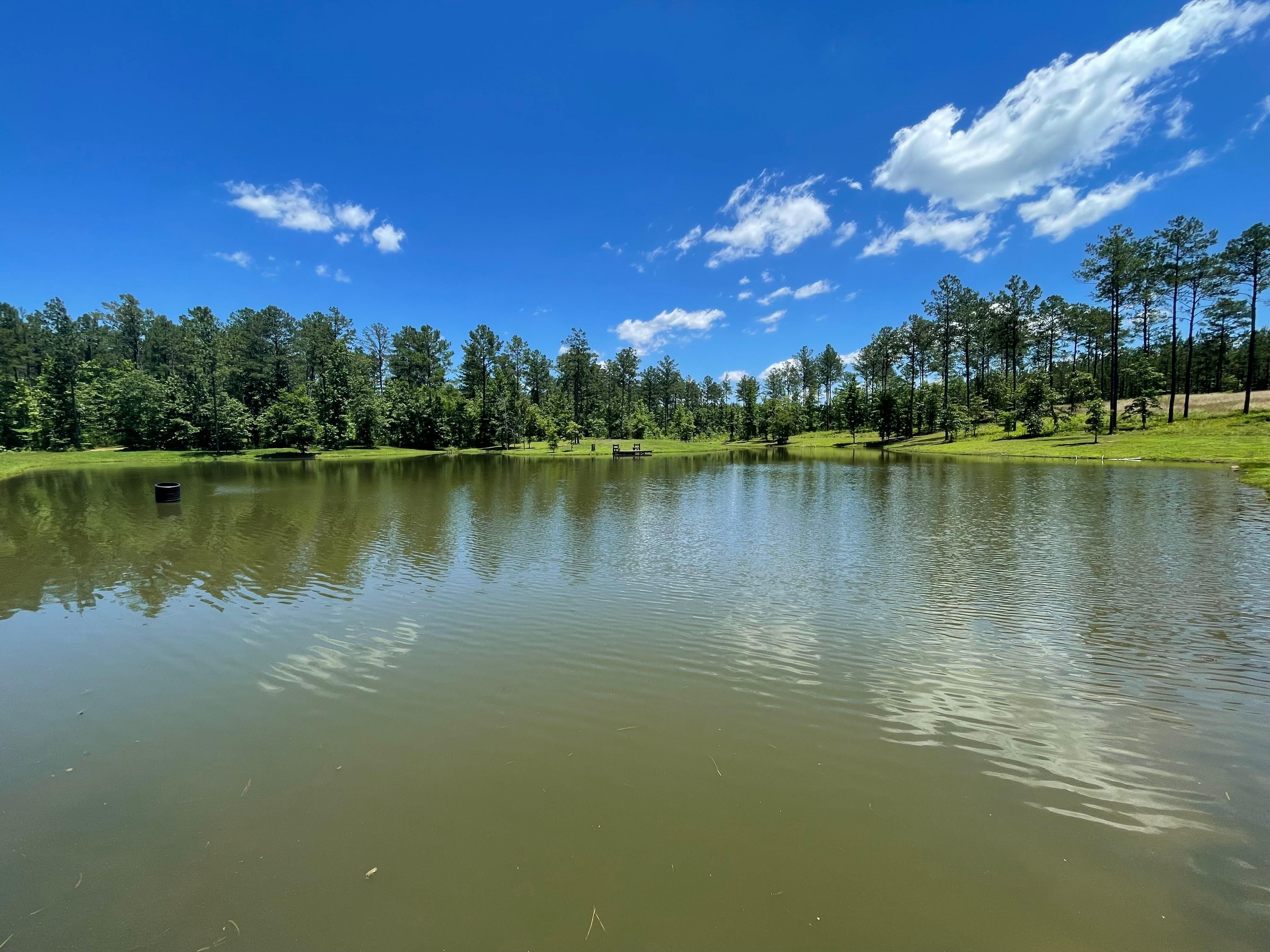 Chelsea Farms Rd, Chelsea, AL 35043 | Land and Farm