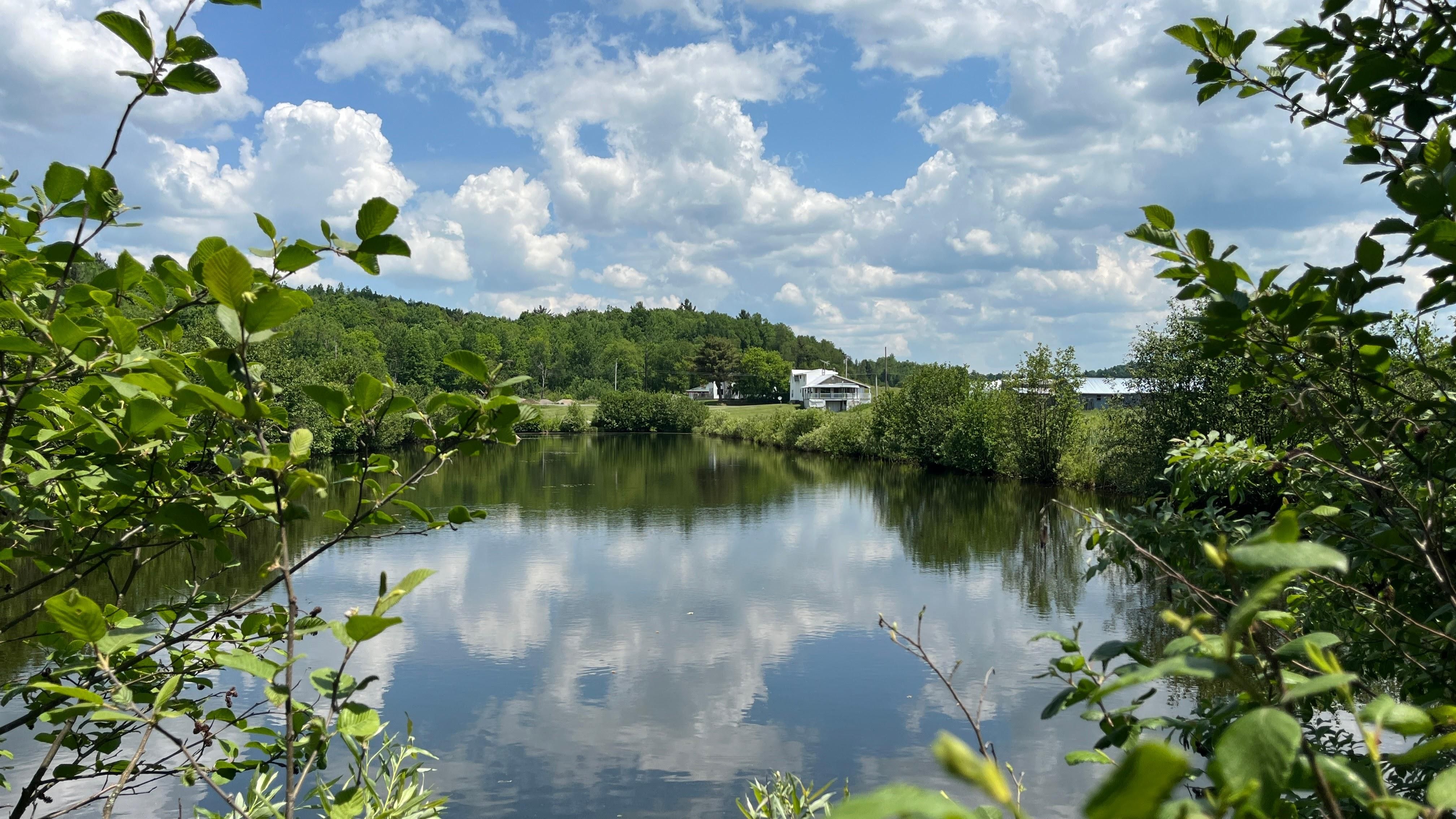 3495 County Road 27, Russell, NY 13684 | MLS: 11288004 | Land and Farm