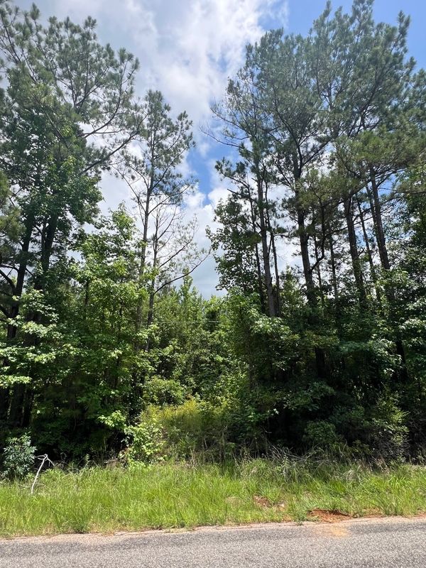 County Rd. 51, Greensboro, AL 37644 | Land and Farm