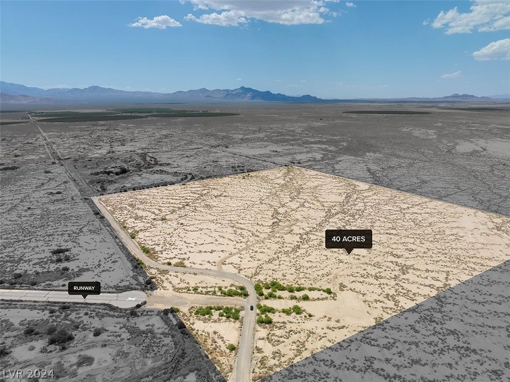 CACTUS Road, Sandy Valley, NV 89019 | MLS: 2591693 | Land and Farm
