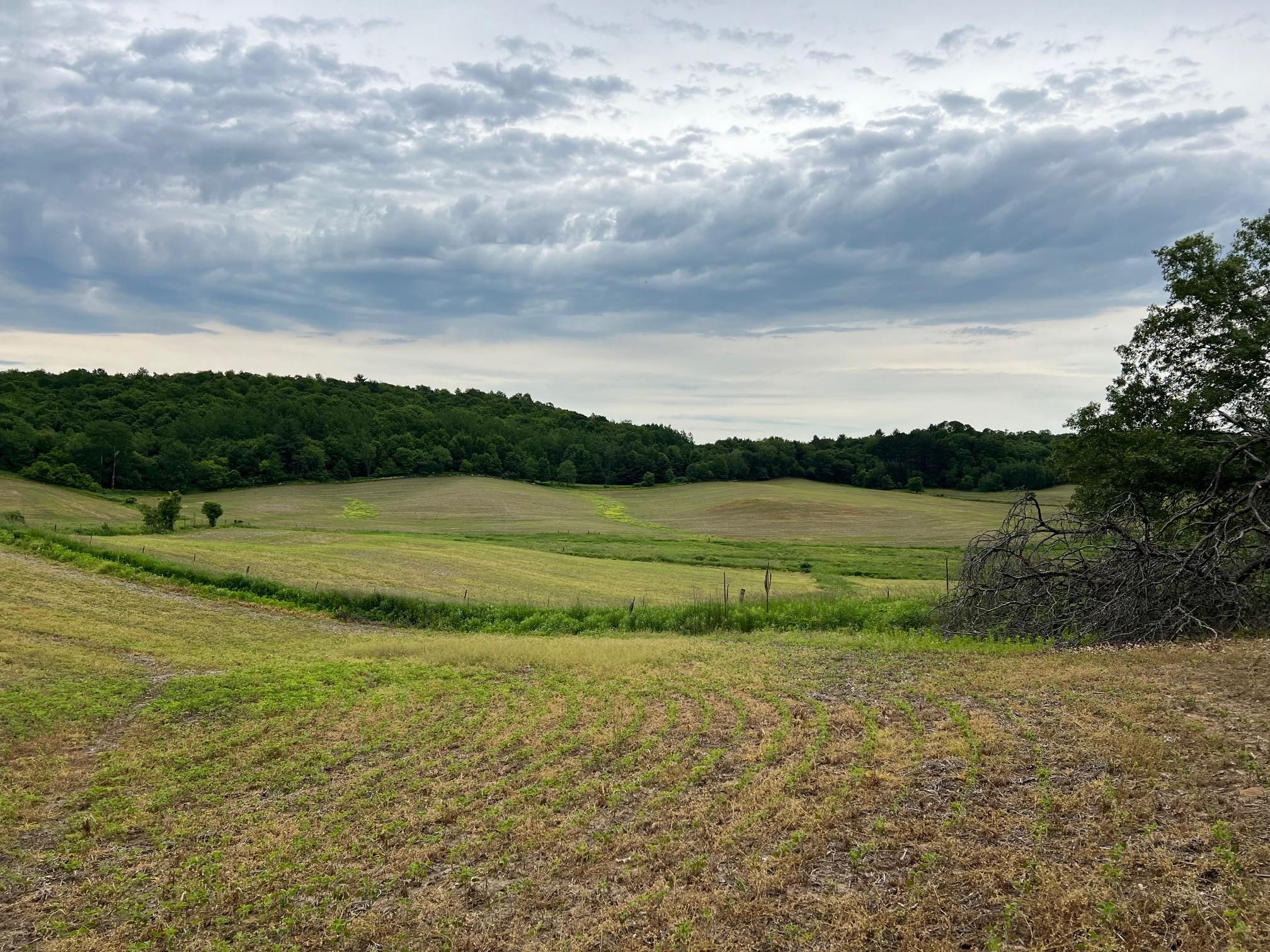 N13020 Dahl Road, Fairchild, WI 54741 | MLS: 1583054 | Land and Farm