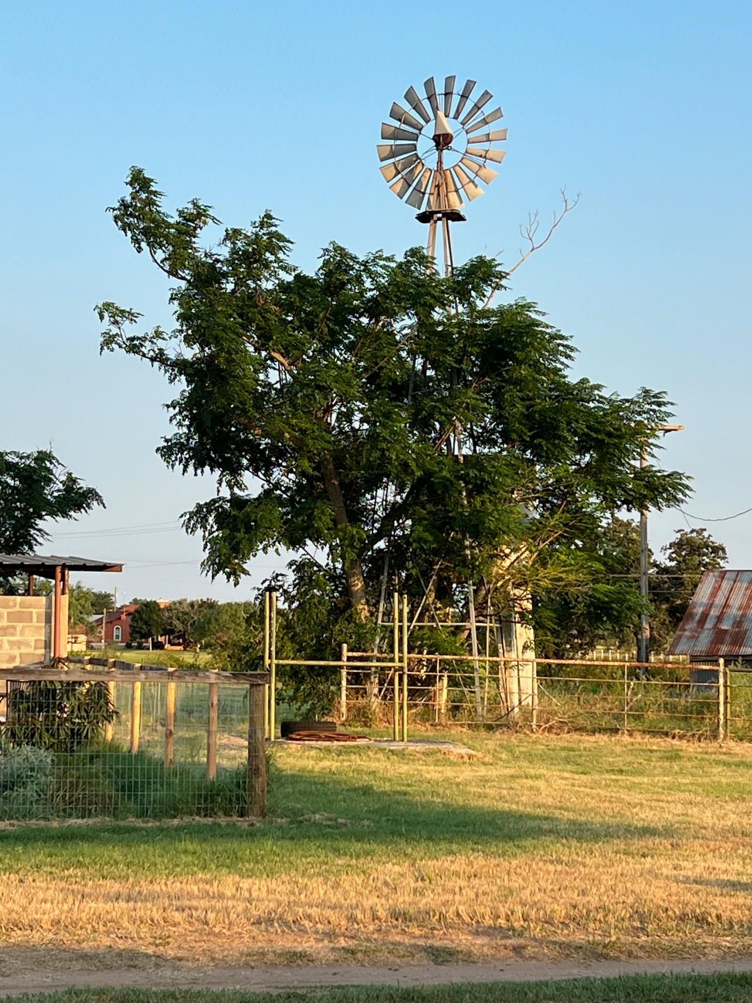 217 Pr Olga Ln, Poteet, TX 78065 | MLS: 1784940 | Land and Farm