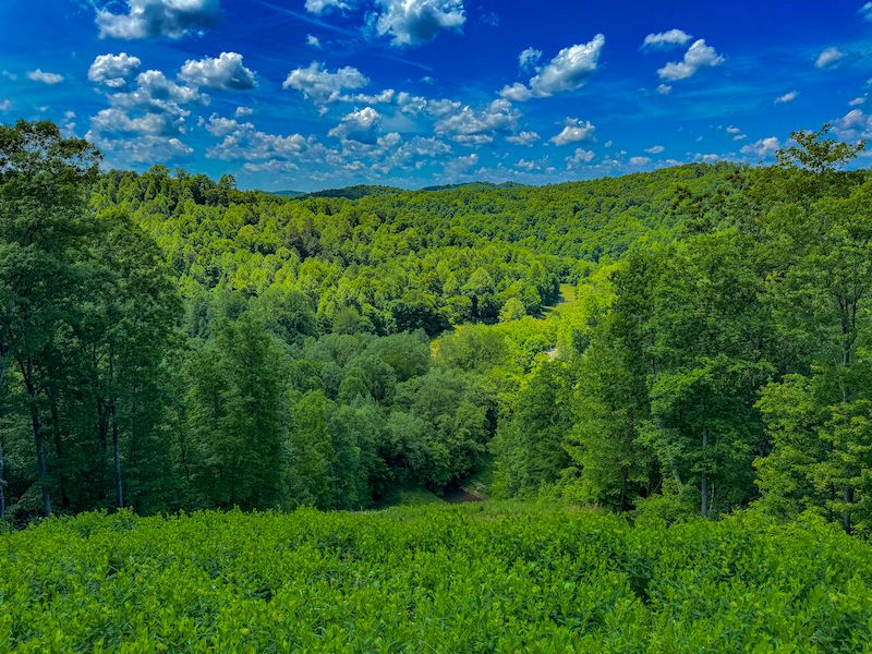 WV Route 18, Lot #WP001, New Milton, WV 26411 | Land and Farm