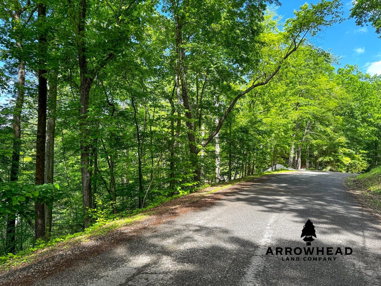 0 North Shorewood Drive, Caryville, TN 37714 | Land and Farm