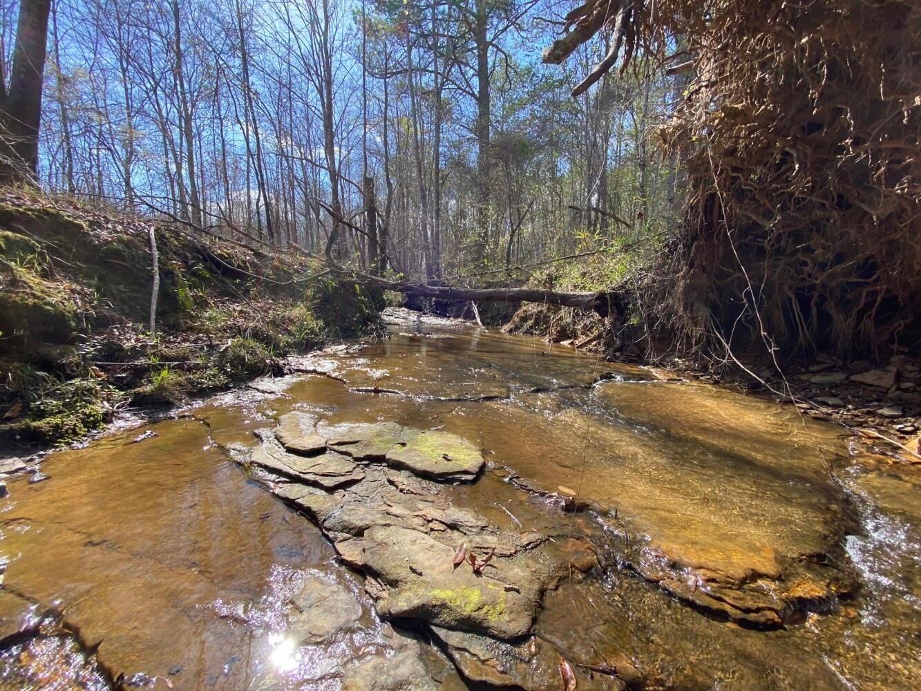 26.13 acres in Bankston, AL, 35542 | Land and Farm