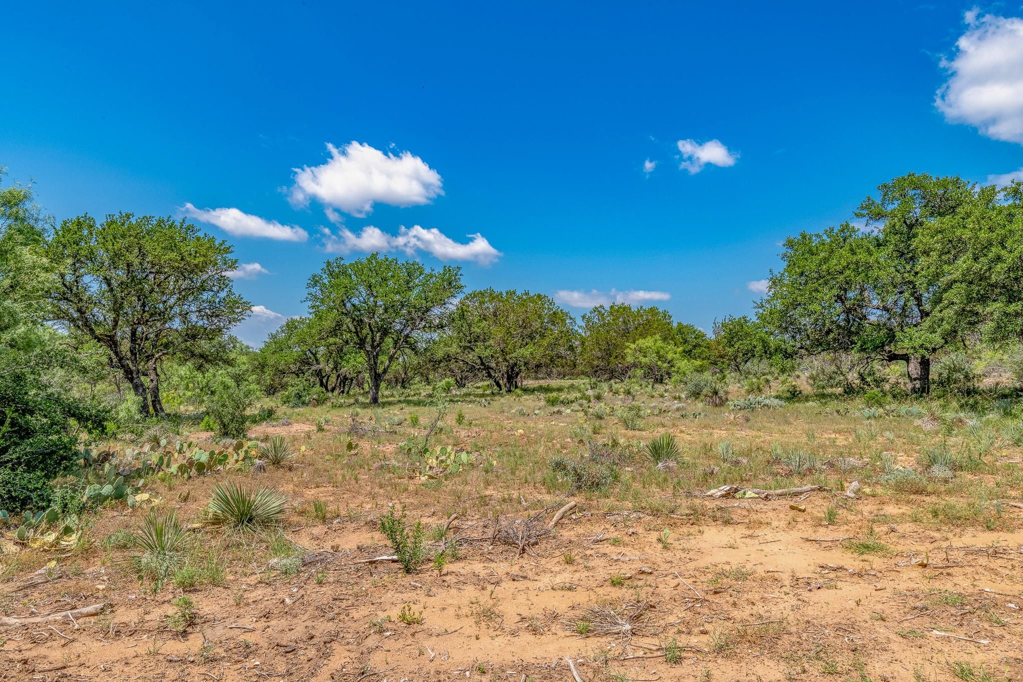 Ranch Road 385, Junction, TX 76849 | Land and Farm
