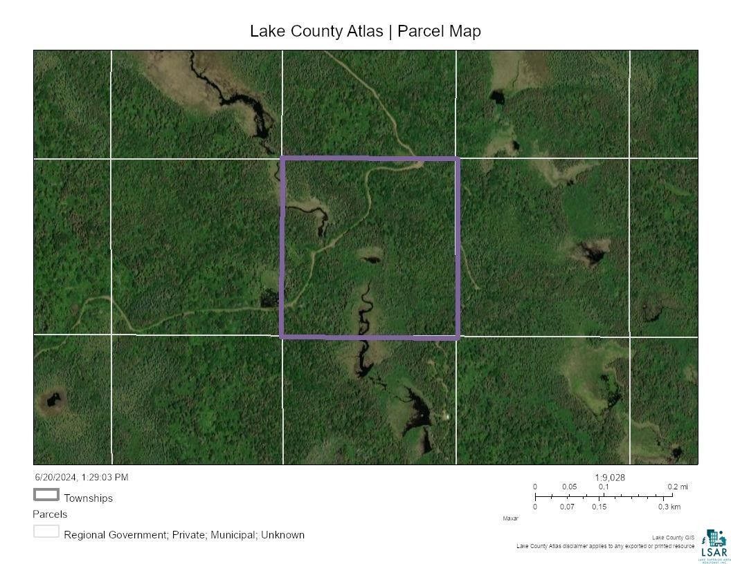 XXX5 Heffelfinger Tr, Finland, MN 55614 | MLS: 6114424 | Land and Farm