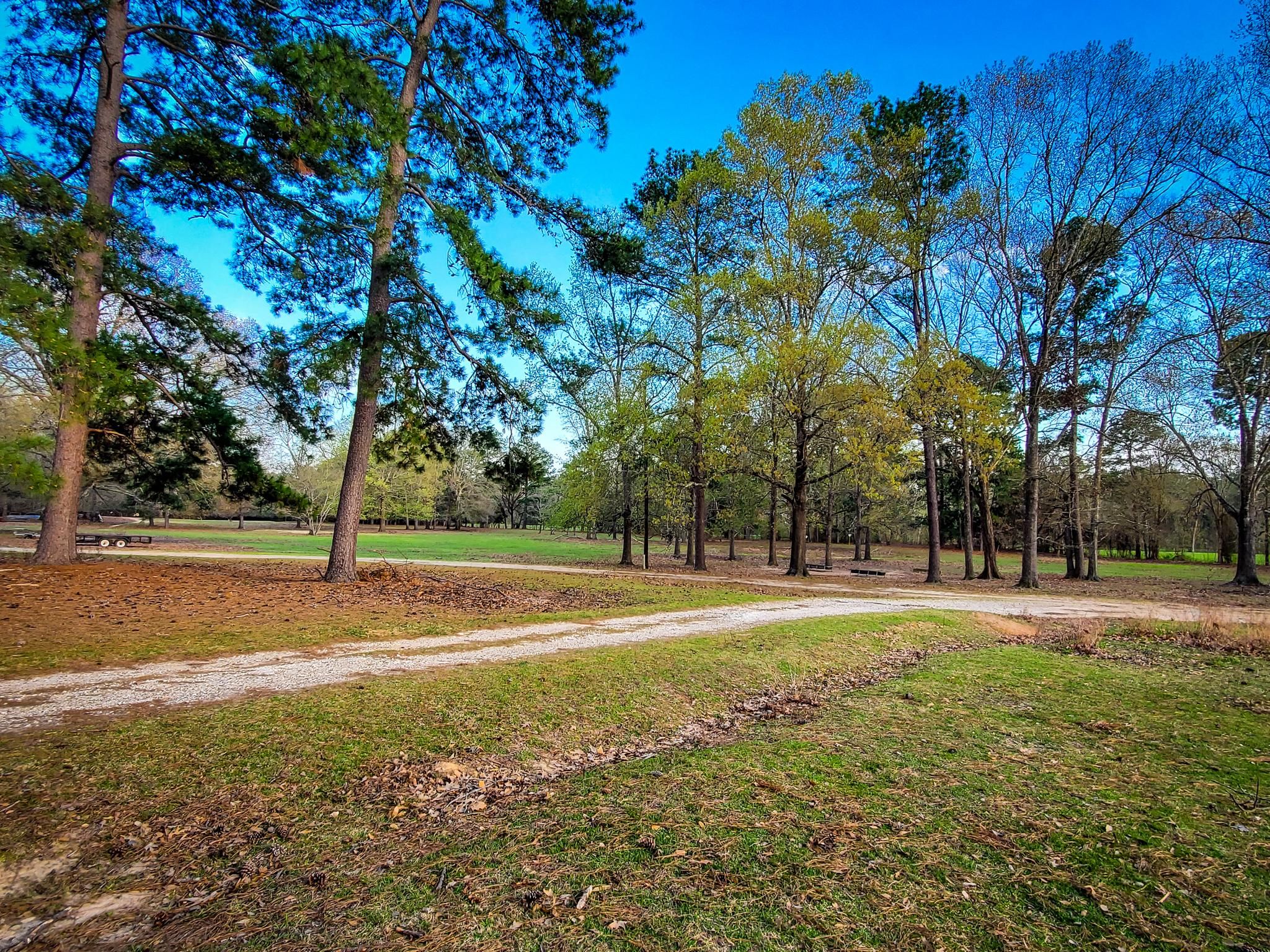 28235 E Cambridge Blvd., Lot#WP001, New Caney, TX 77357 | MLS: Cougar ...