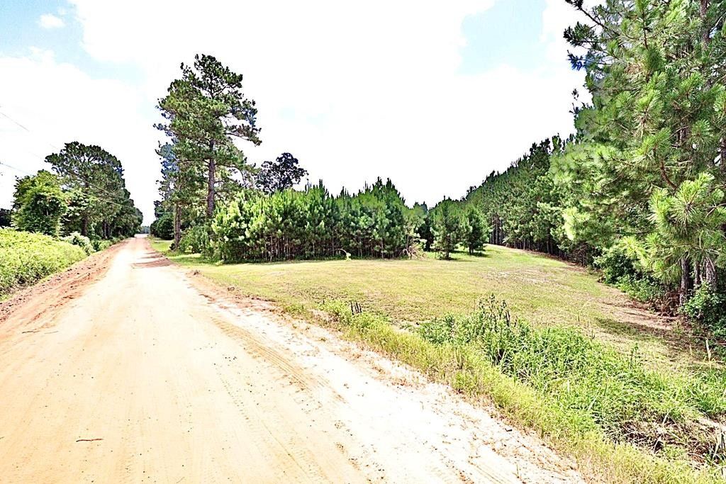 13.89 ac Lumby Smith & Hwy 37, Adel, GA 31620 | MLS: 140806 | Land and Farm