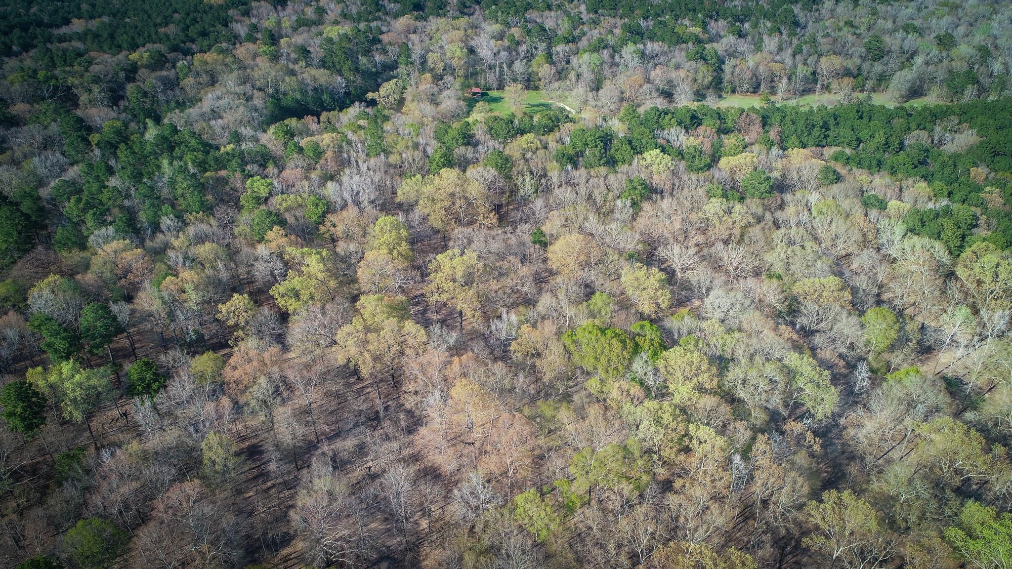 28235 E. Cambridge Blvd., New Caney, TX 77357 | MLS: Cougar Run Ranch ...