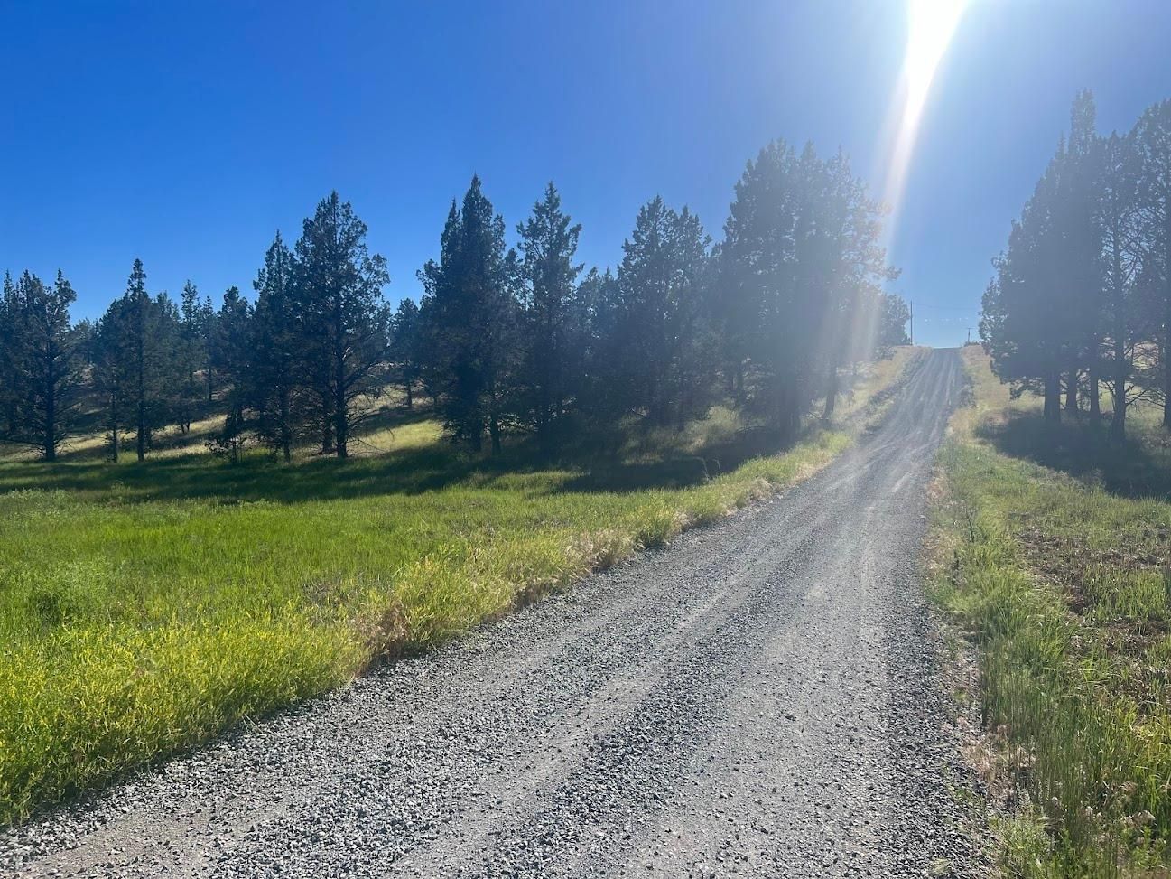 Red Deer Lane, Alturas, CA 96101 | Land and Farm