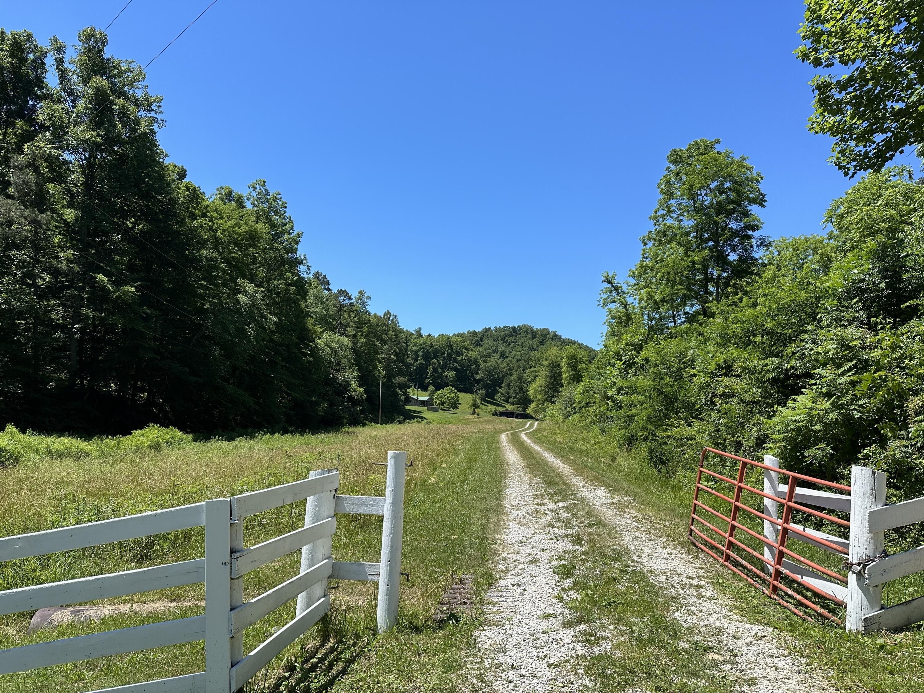 1327 Fraley Branch Road, Grayson, KY 41143 | MLS: 24005568 | Land and Farm