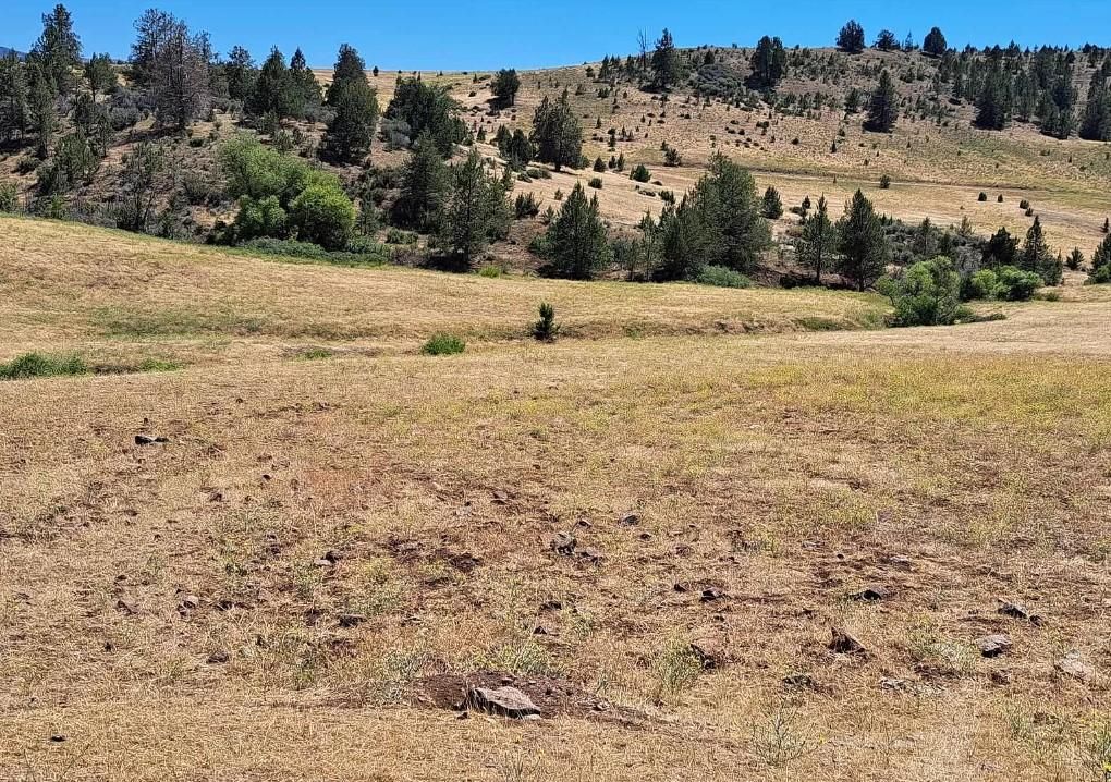 2.71 acres in Hornbrook, CA, 96044 | MLS: 102-330-200-0-00 | Land and Farm