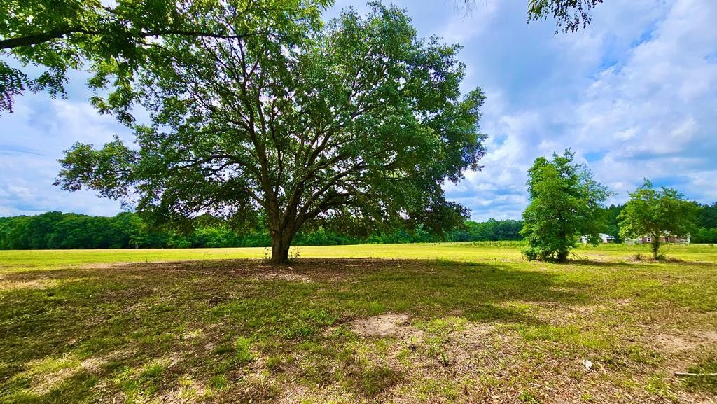 10 Acres Skyline Rd, Geneva, AL 36340 | MLS: 197975 | Land and Farm