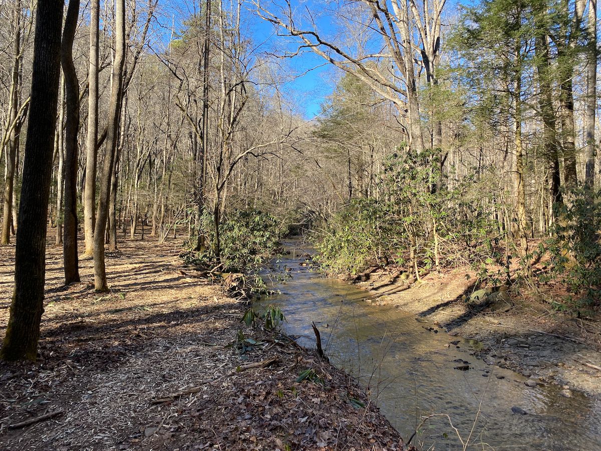 Chestnut Flats Rd, Lot#WP001, Andrews, NC 28901 | Land and Farm