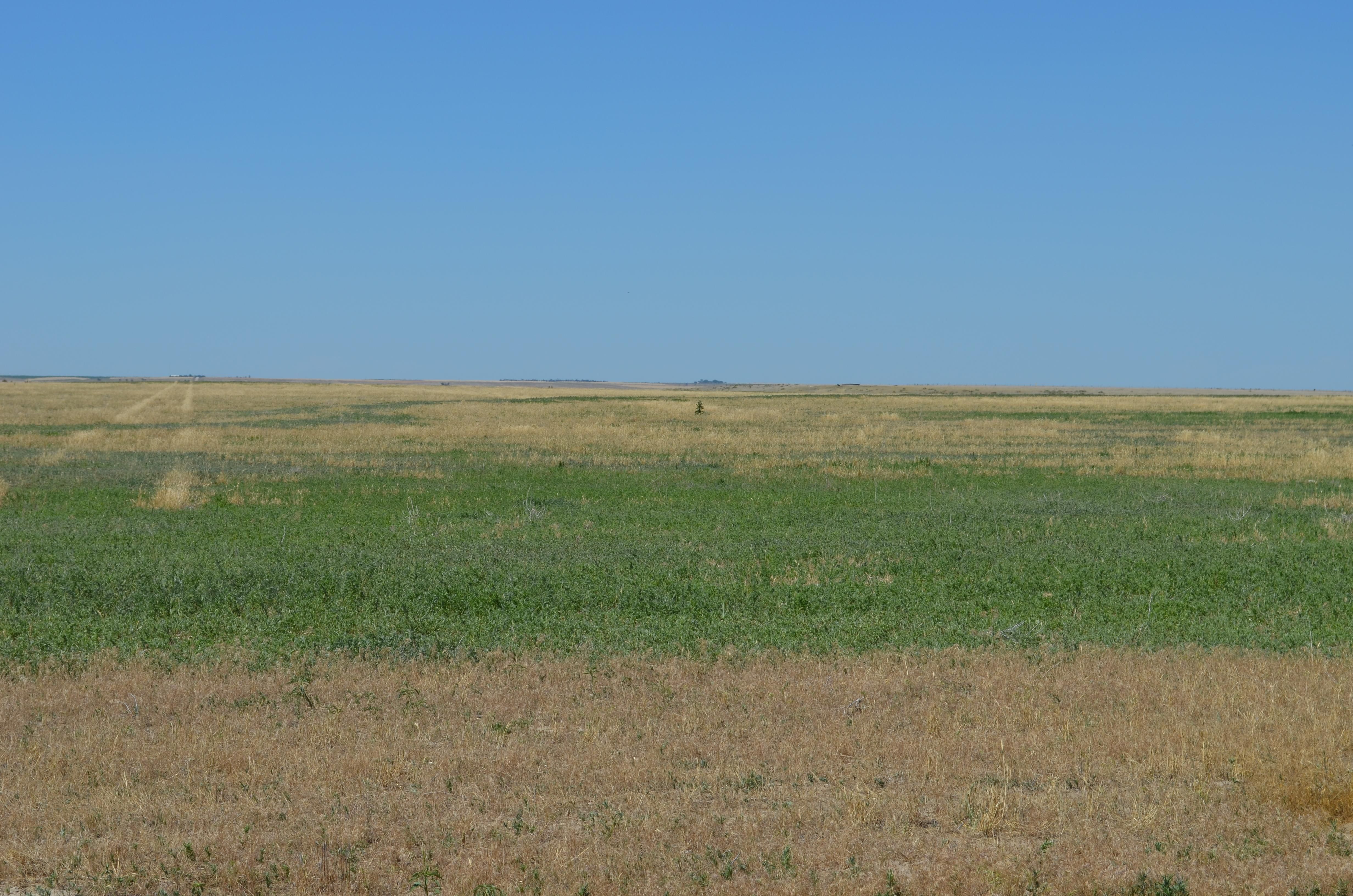 156 acres in Atwood, KS, 67732 | Land and Farm