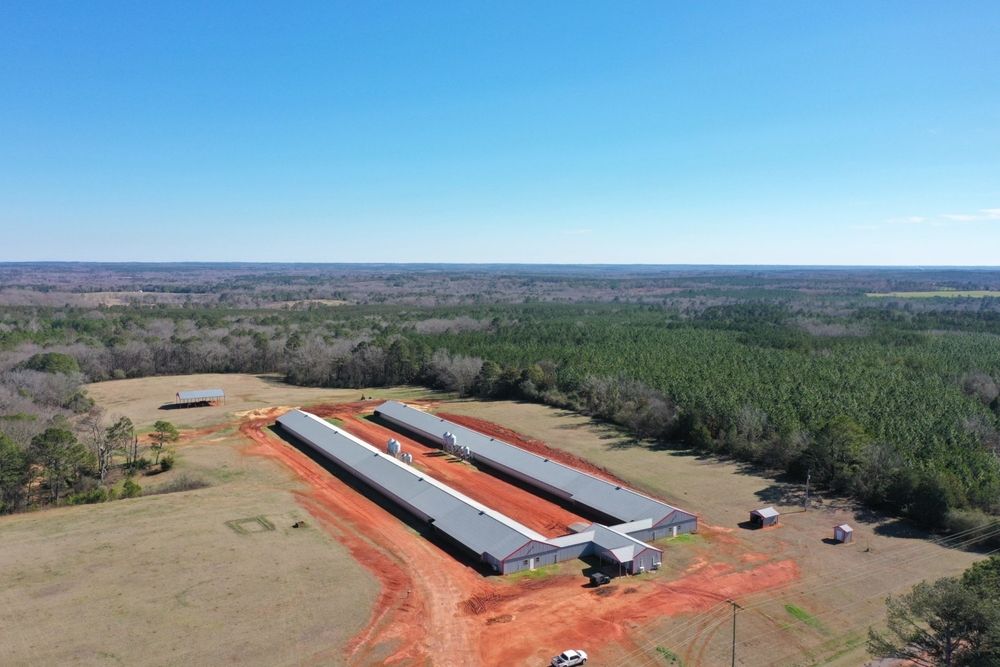 1953 County Road 53, Clayton, AL 36016 | Land and Farm