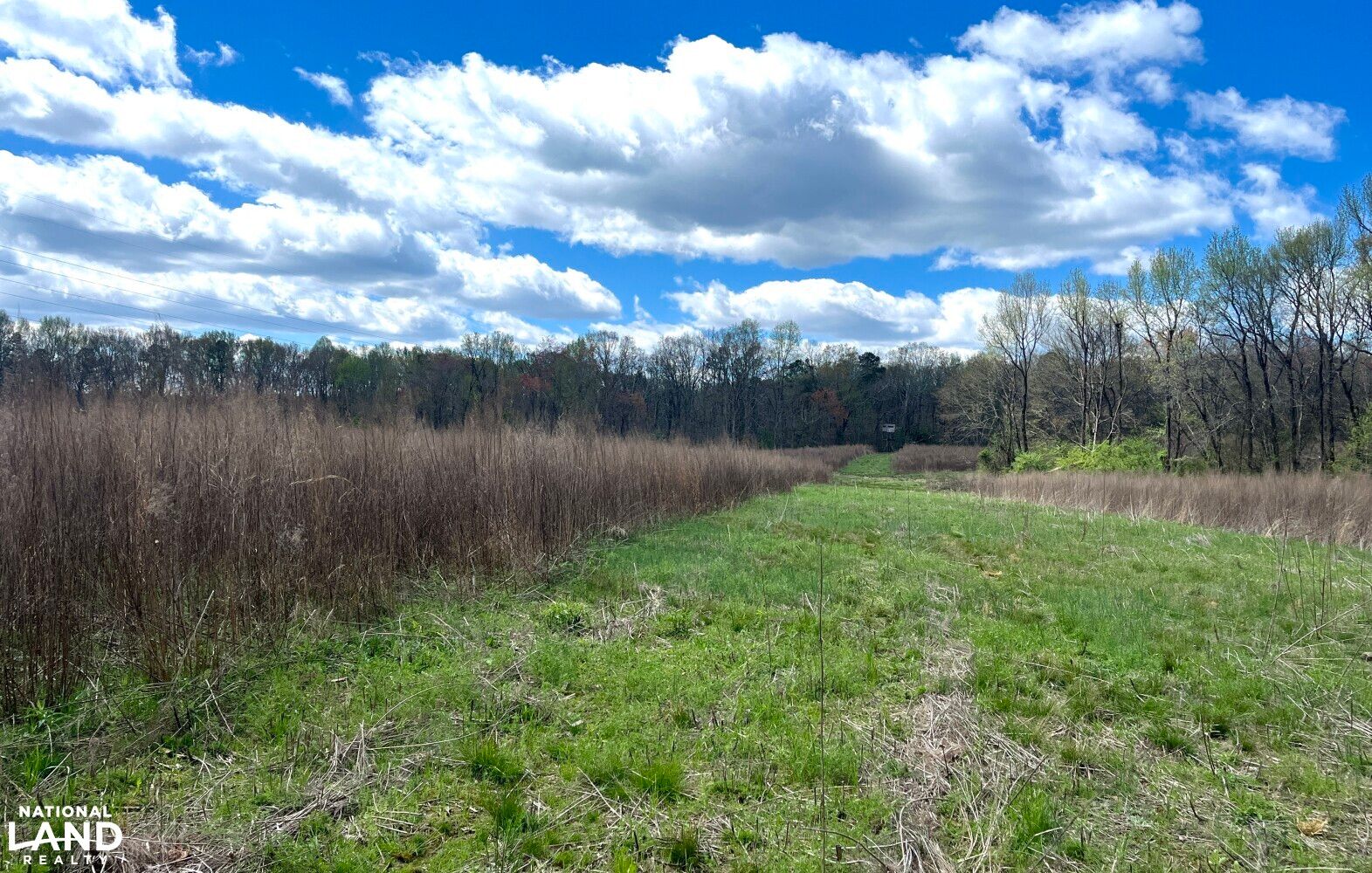177 CR-262, Bryant, AL 35958 | Land and Farm