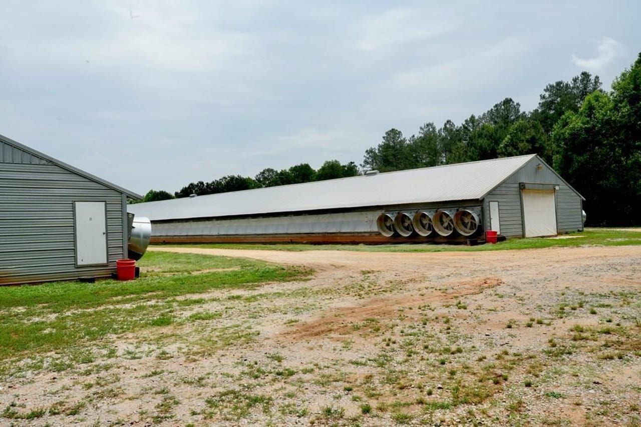 5520 Chunky Duffee Road, Chunky, MS 39323 | MLS: 138313 | Land and Farm