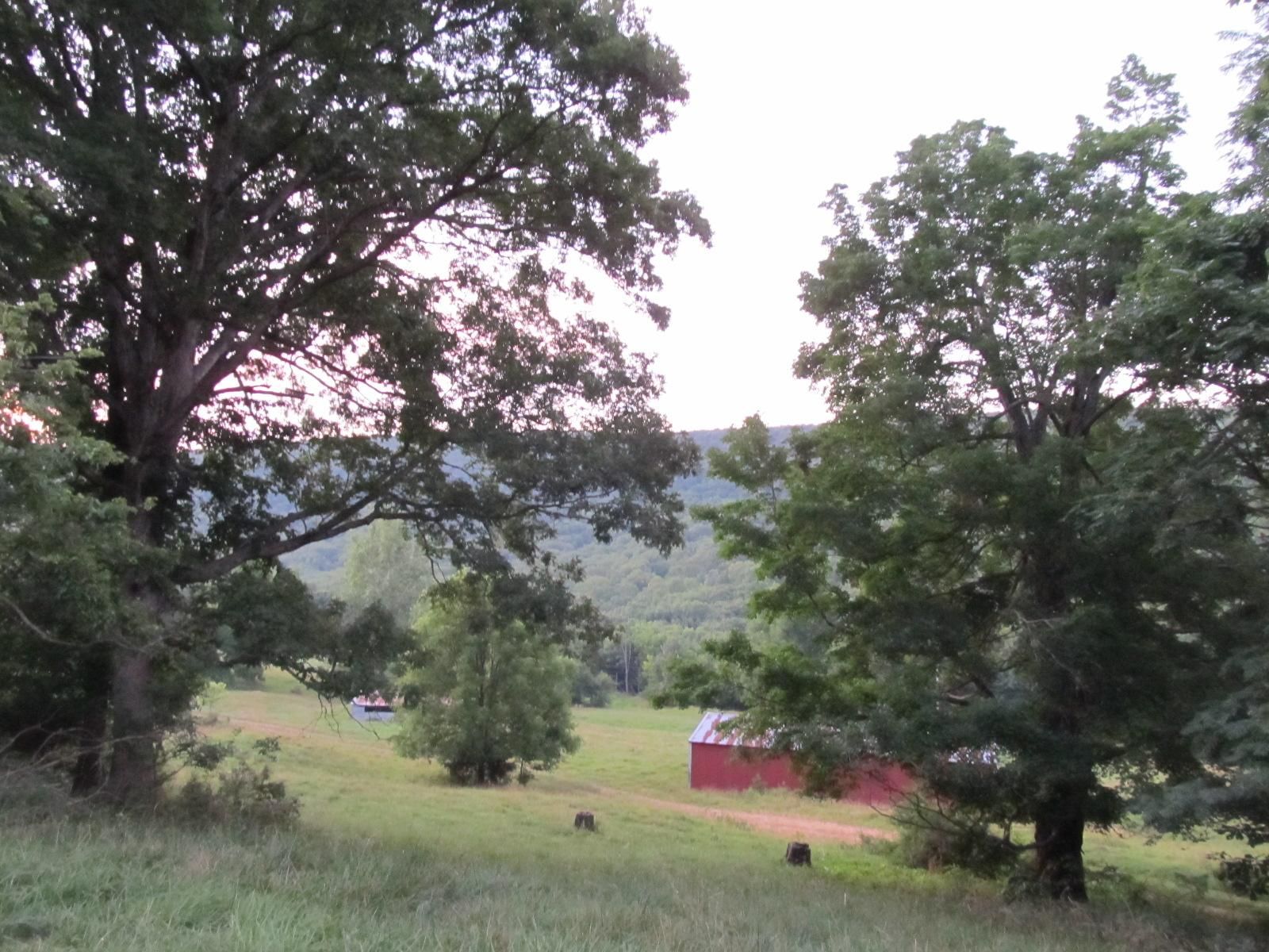 3140 Madison 5430, Elkins, AR 72727 | Land and Farm